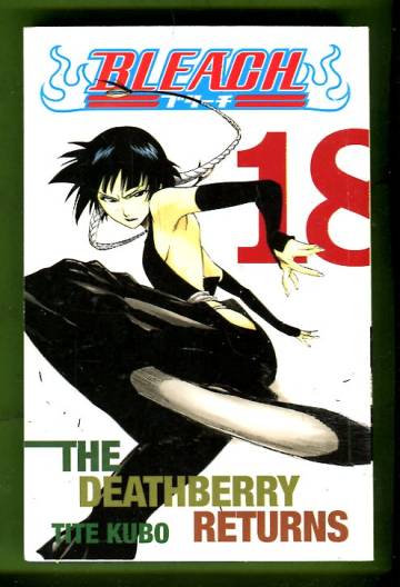 Bleach 18 - Kubo Tite | Antikvariaatti Lukuhetki